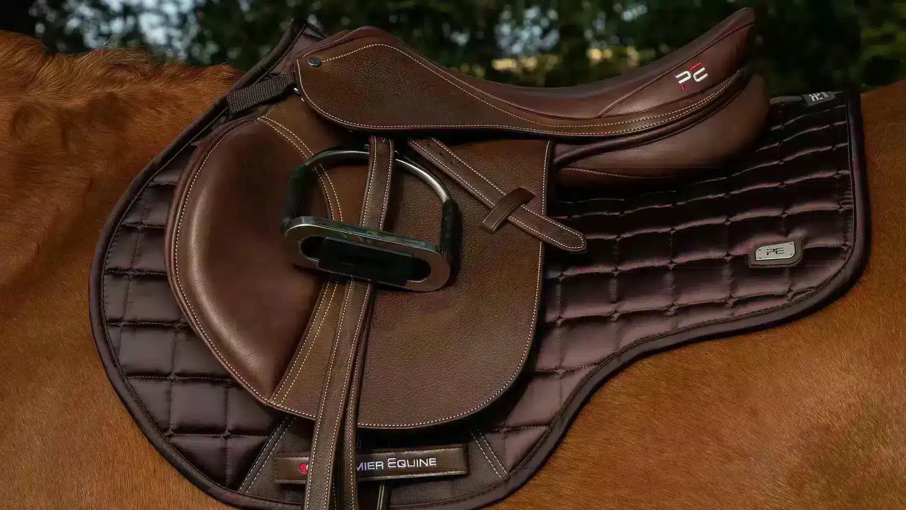Saddle Pads │ Try A Bit