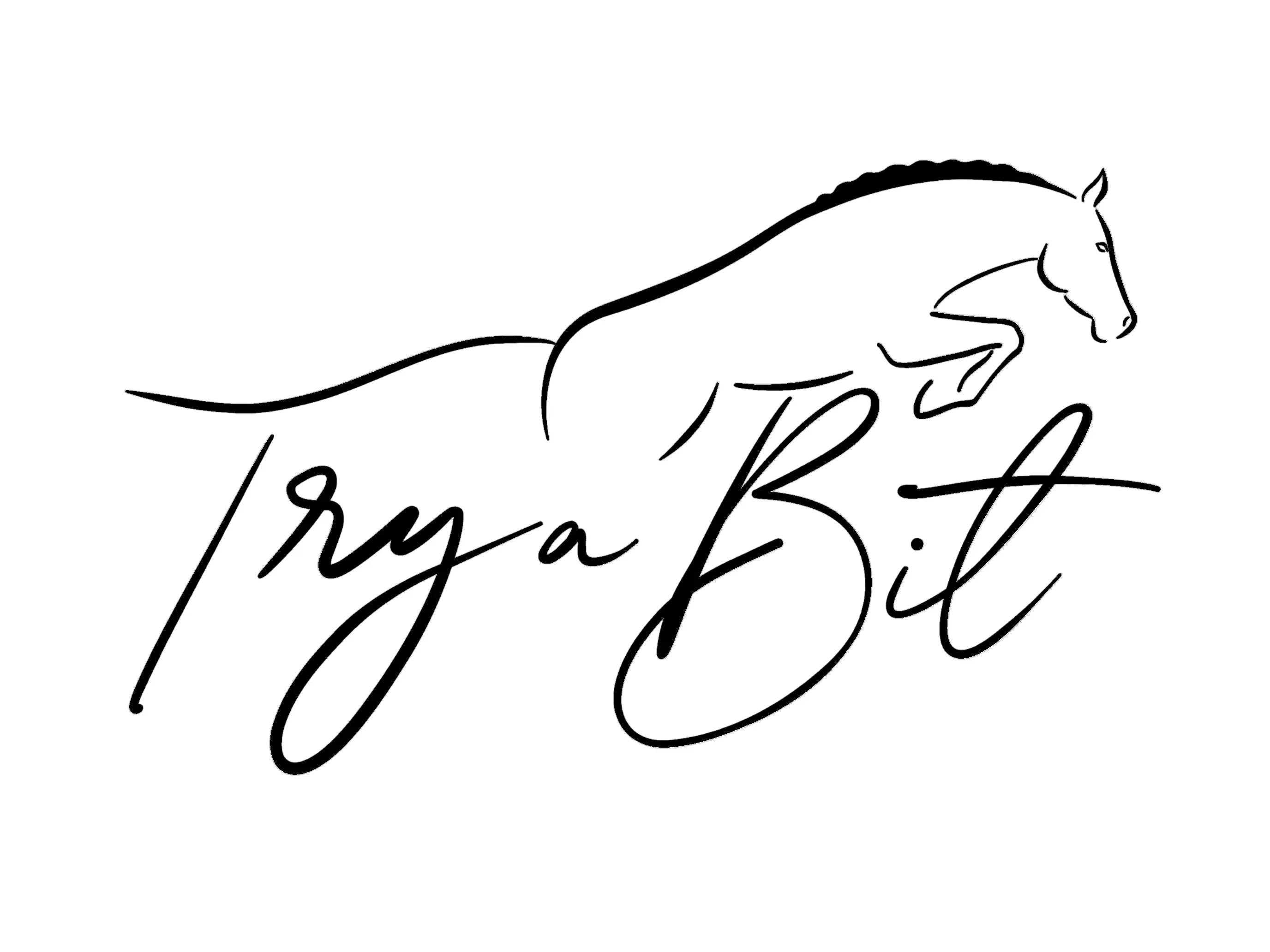 Horse Bit Brands in NZ | Try a Bit – Try A Bit